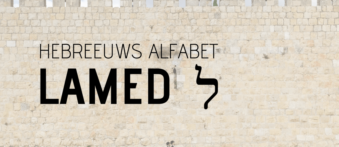 Hebreeuwse alfabet - Lamed | Betekenis, getalswaarde en Joodse traditie